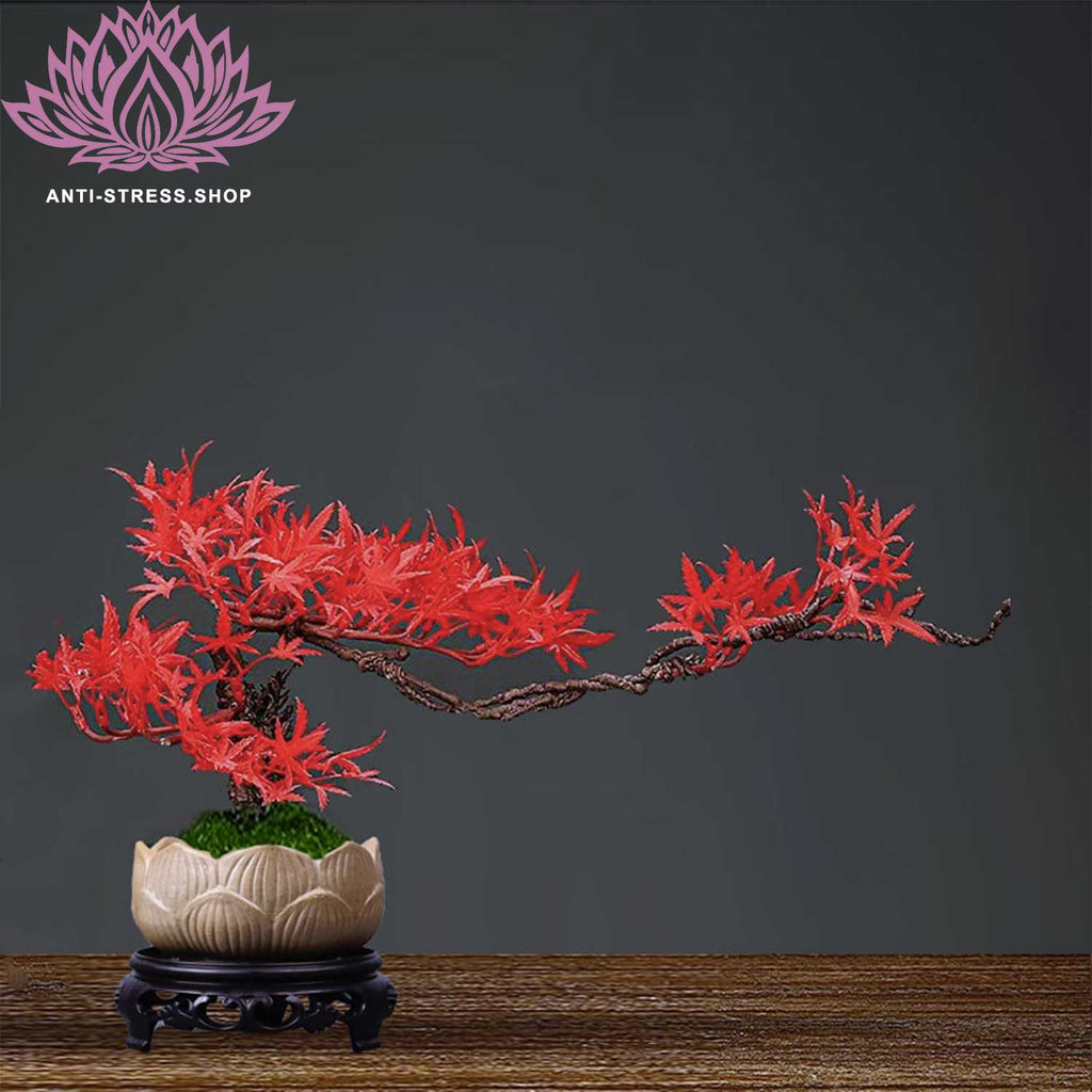 Bonsaï fleurs d'érable rouge – Anti-stress.shop