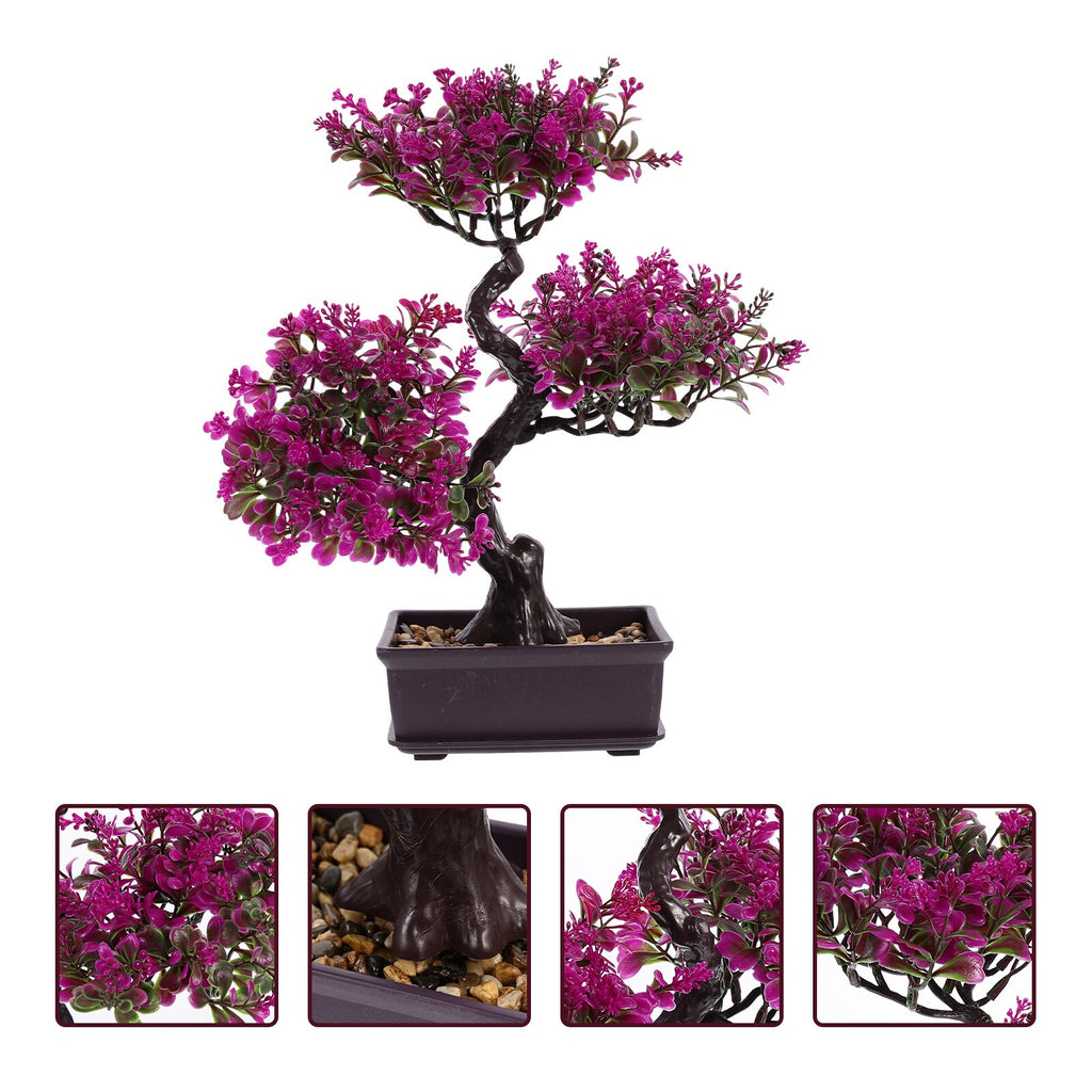 Bonsaï japonais – Anti-stress.shop